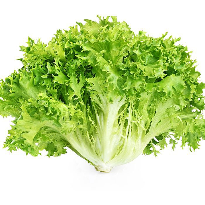 END01# | Endive (1#) - Pacific Coast Fresh Co.