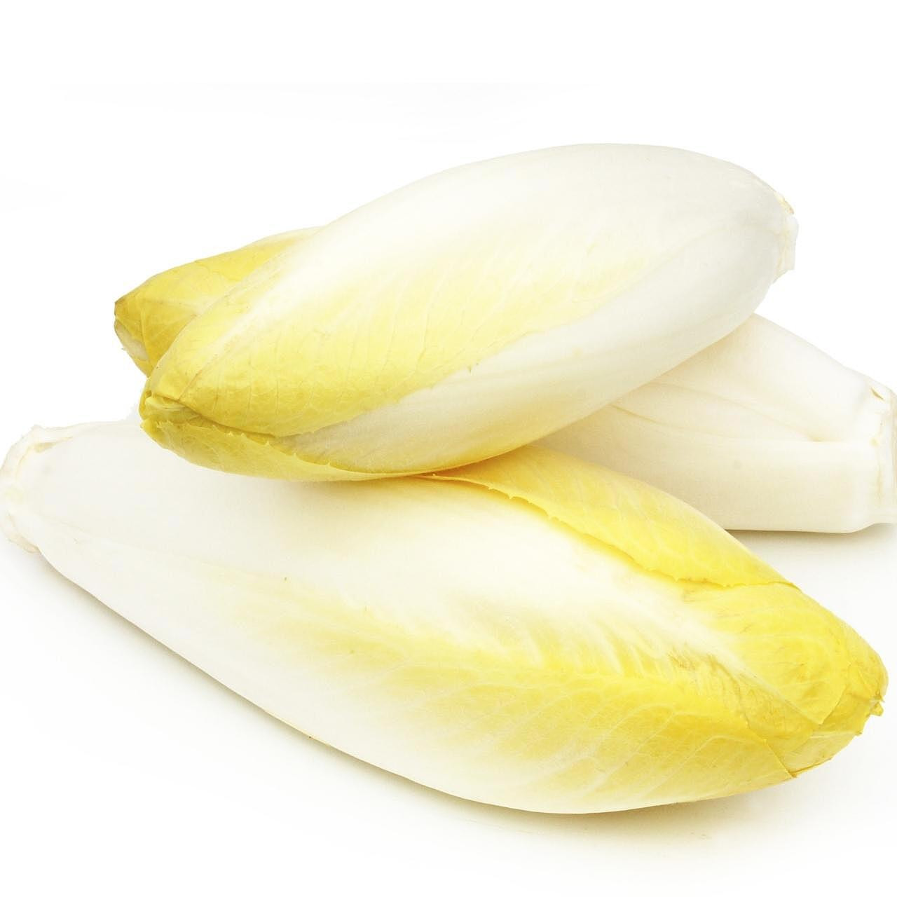 ENDBEL03# | Belgian Endive (3#) - Pacific Coast Fresh Co.