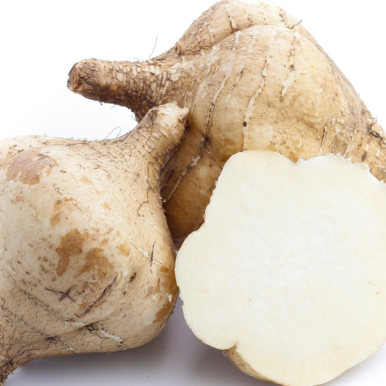 Jicama Plant Facts