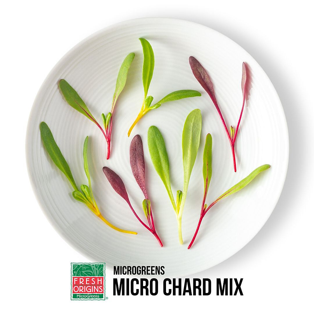 MICCHA04Z | Micro Green Chard Mix (4OZ) - Pacific Coast Fresh Co.