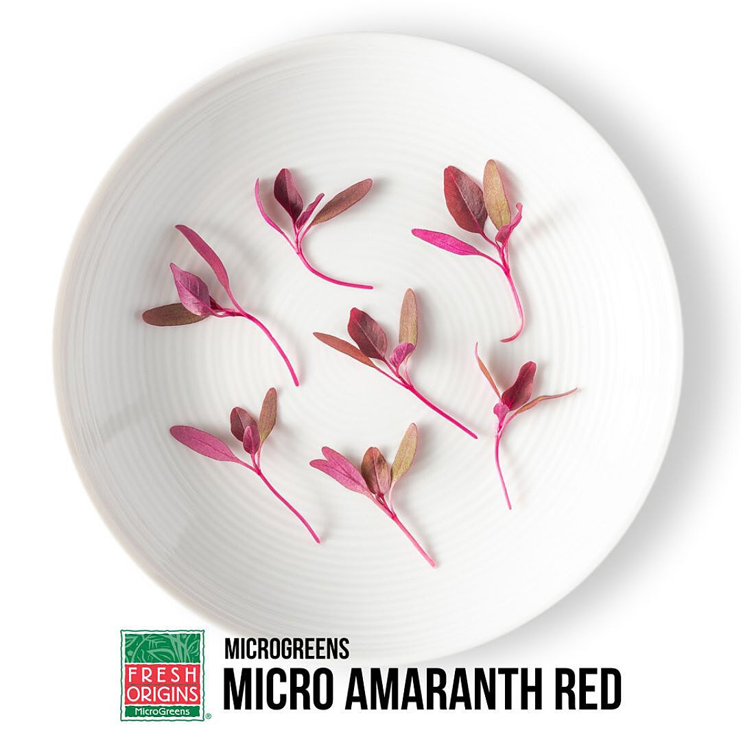 MICAMA04Z | Micro Amaranth (4OZ) - Pacific Coast Fresh Co.