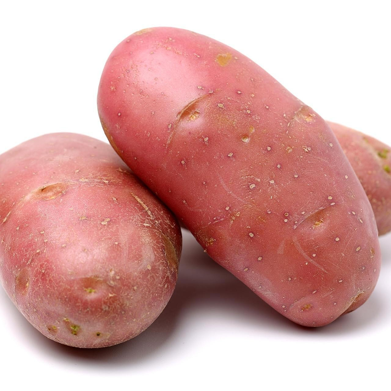 POTRED50#A | Red Potato A (50#) - Pacific Coast Fresh Co.