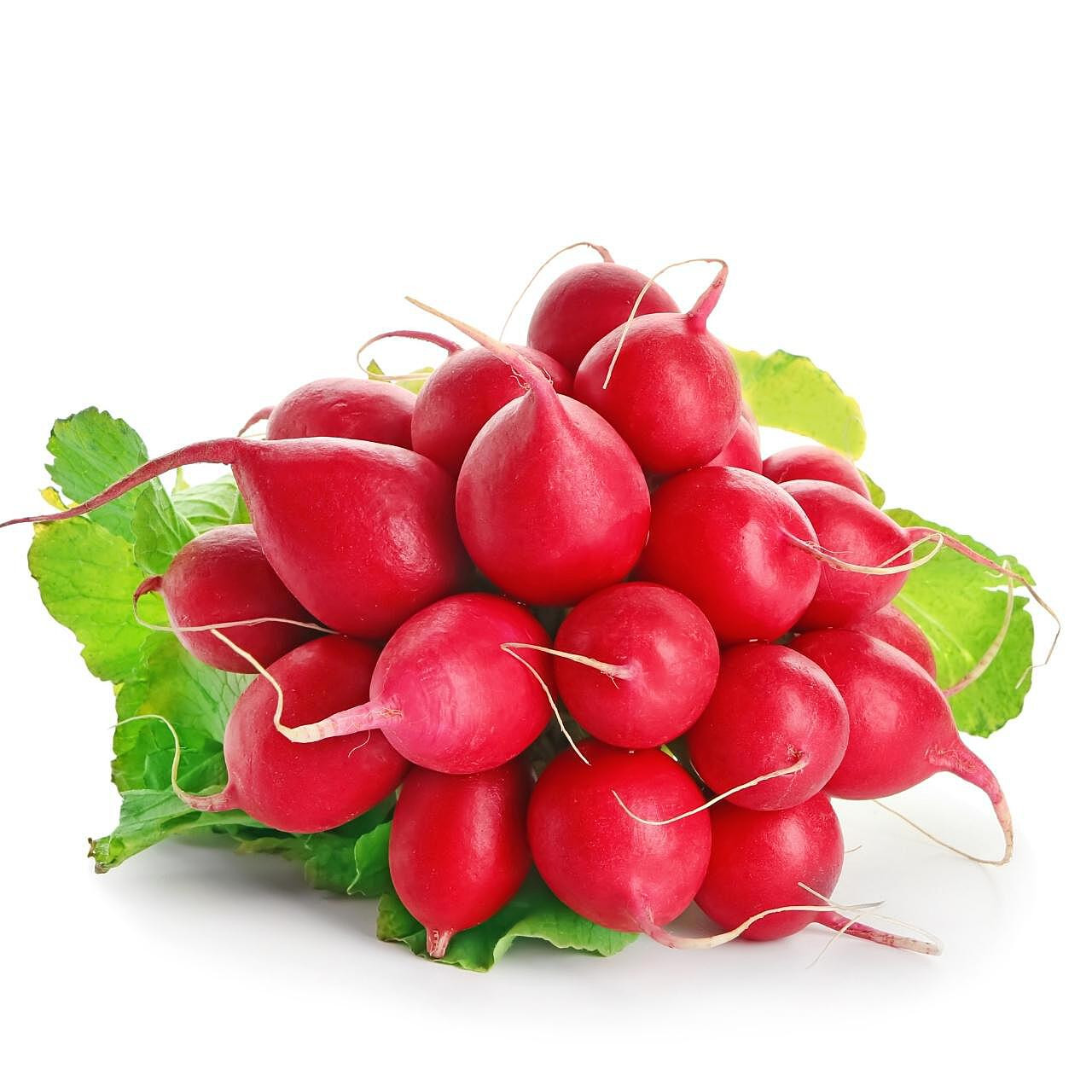 RAD024BNCH | Radish Bunch (24CT) - Pacific Coast Fresh Co.