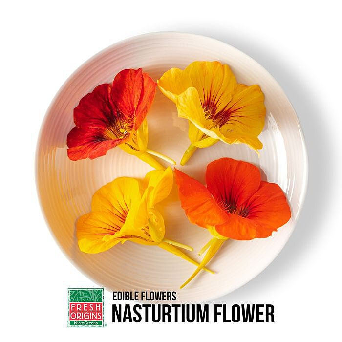 FLONAS01E | Edible Nasturtium Flower (50CT CLAM) - Pacific Coast Fresh Co.