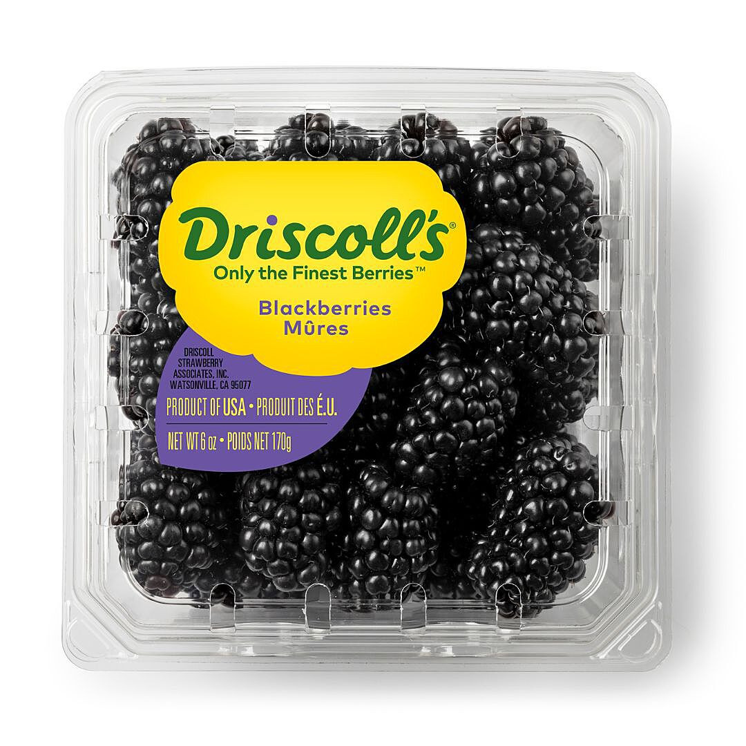 BERBLA012 | Blackberry (12/6OZ) - Pacific Coast Fresh Co.