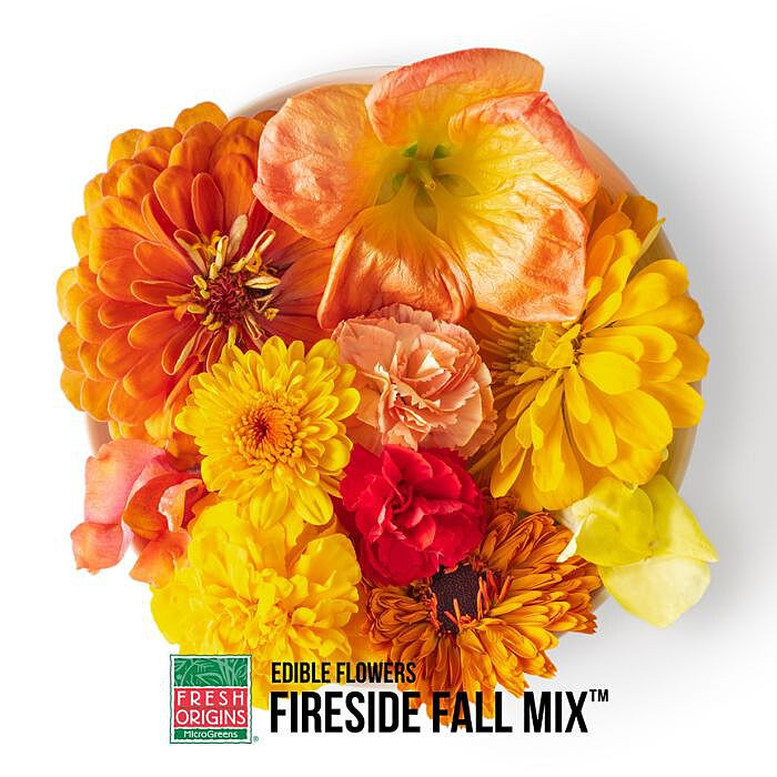 FLOFIR01E | Edible Fireside Fall Mix Flower (50CT) - Pacific Coast ...