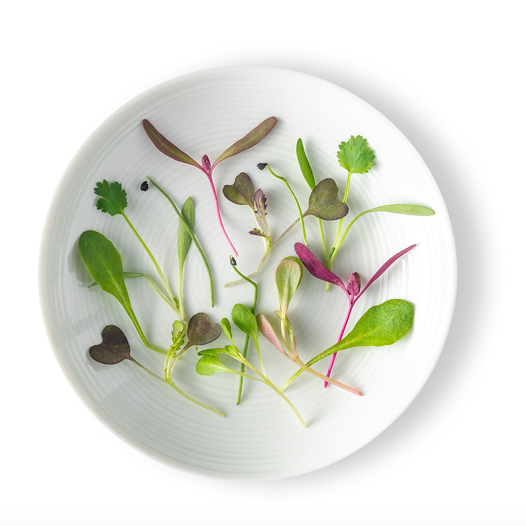 MICSOU04ZMIX | Micro Green Southwest Mix (4OZ) - Pacific Coast Fresh Co.