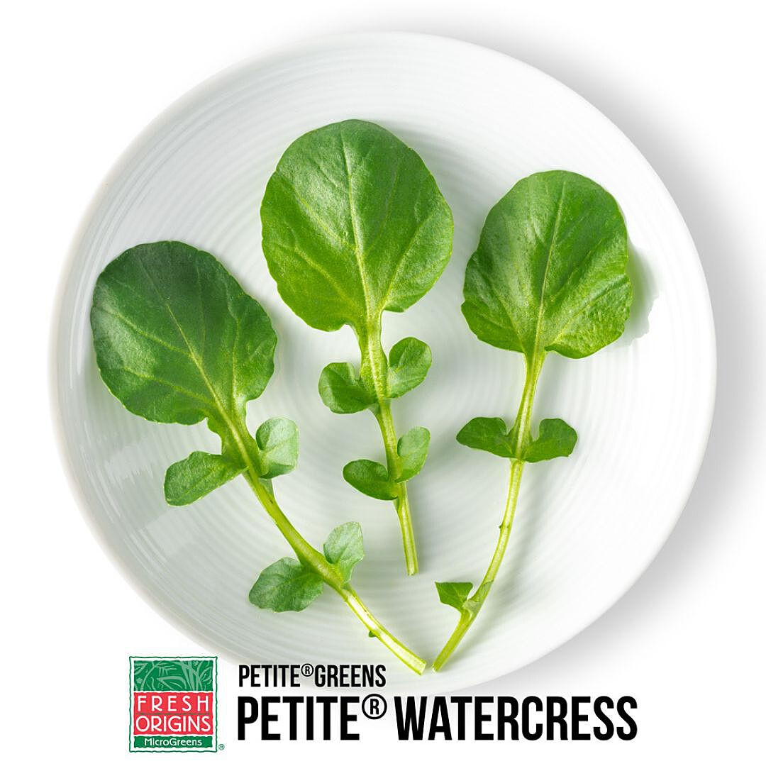 MICWAR08ZPET | Petite Micro Watercress (8OZ) - Pacific Coast Fresh Co.