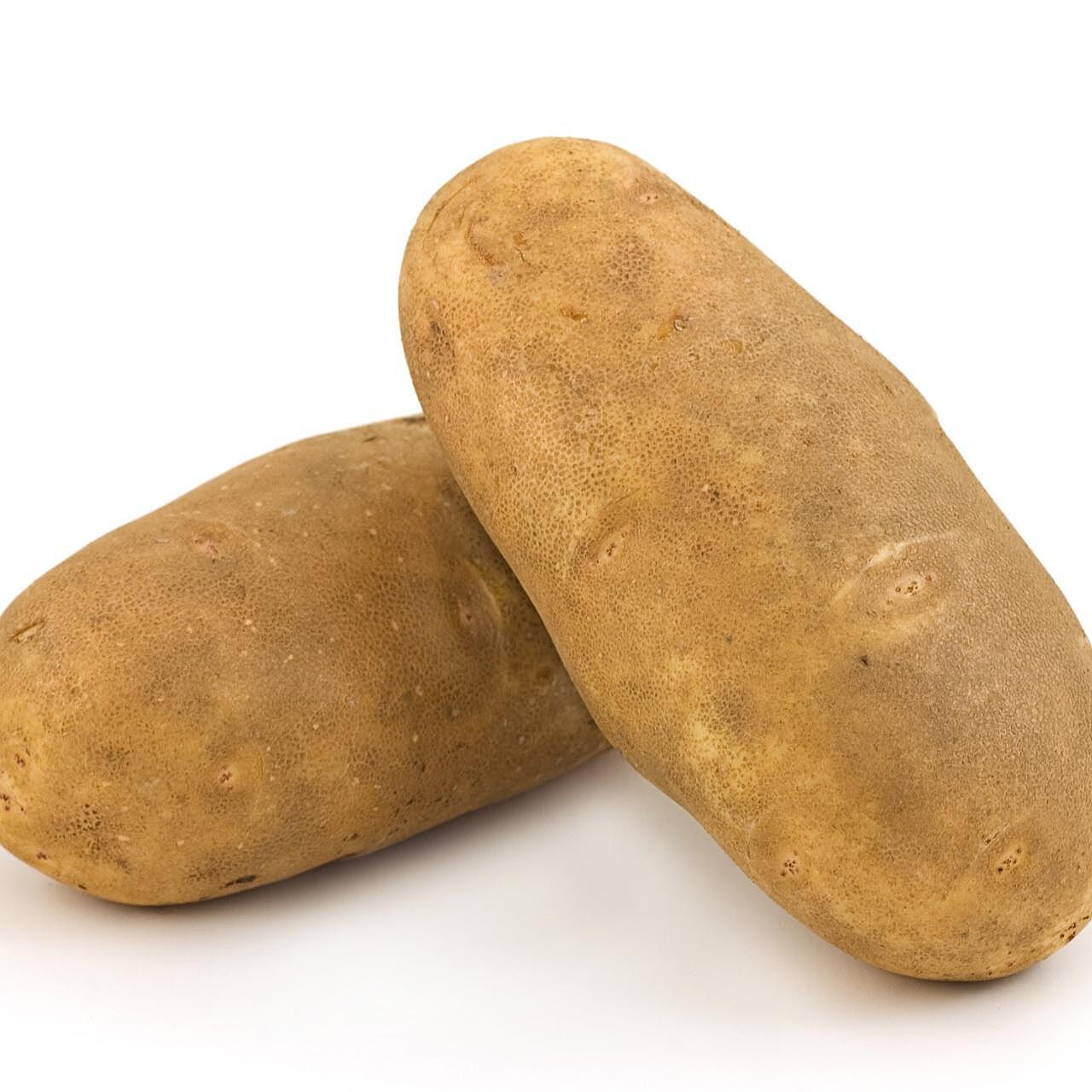 POTRUS16OR | Organic Russet Potato (16/3#) - Pacific Coast Fresh Co.