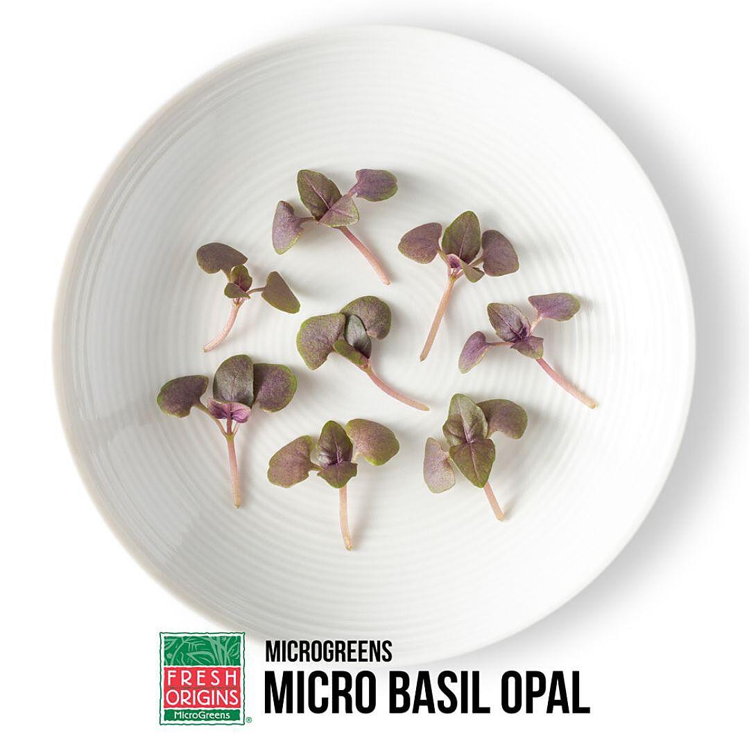 MICBASOPA04 | Microgreen Thai Basil (4OZ) - Pacific Coast Fresh Co.