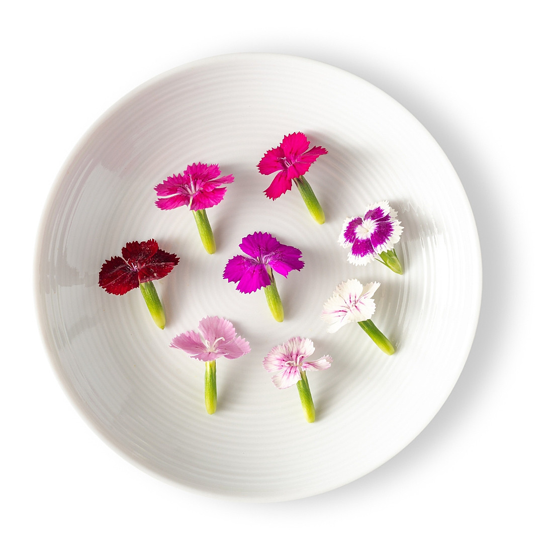 MICFLODIA | Edible Flower Dianthus (200CT) - Pacific Coast Fresh Co.