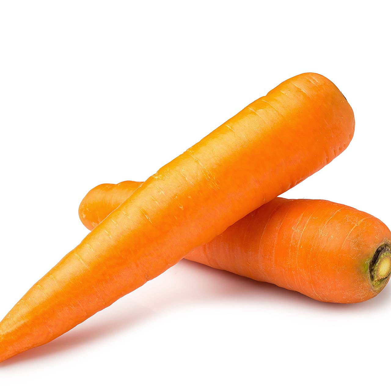 CAR25#JB | Jumbo Carrot (25# BG) - Pacific Coast Fresh Co.
