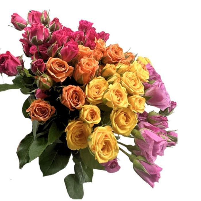 FLOROS020SPA | Spray Rose Assorted Flower (20CT) - Pacific Coast Fresh Co.