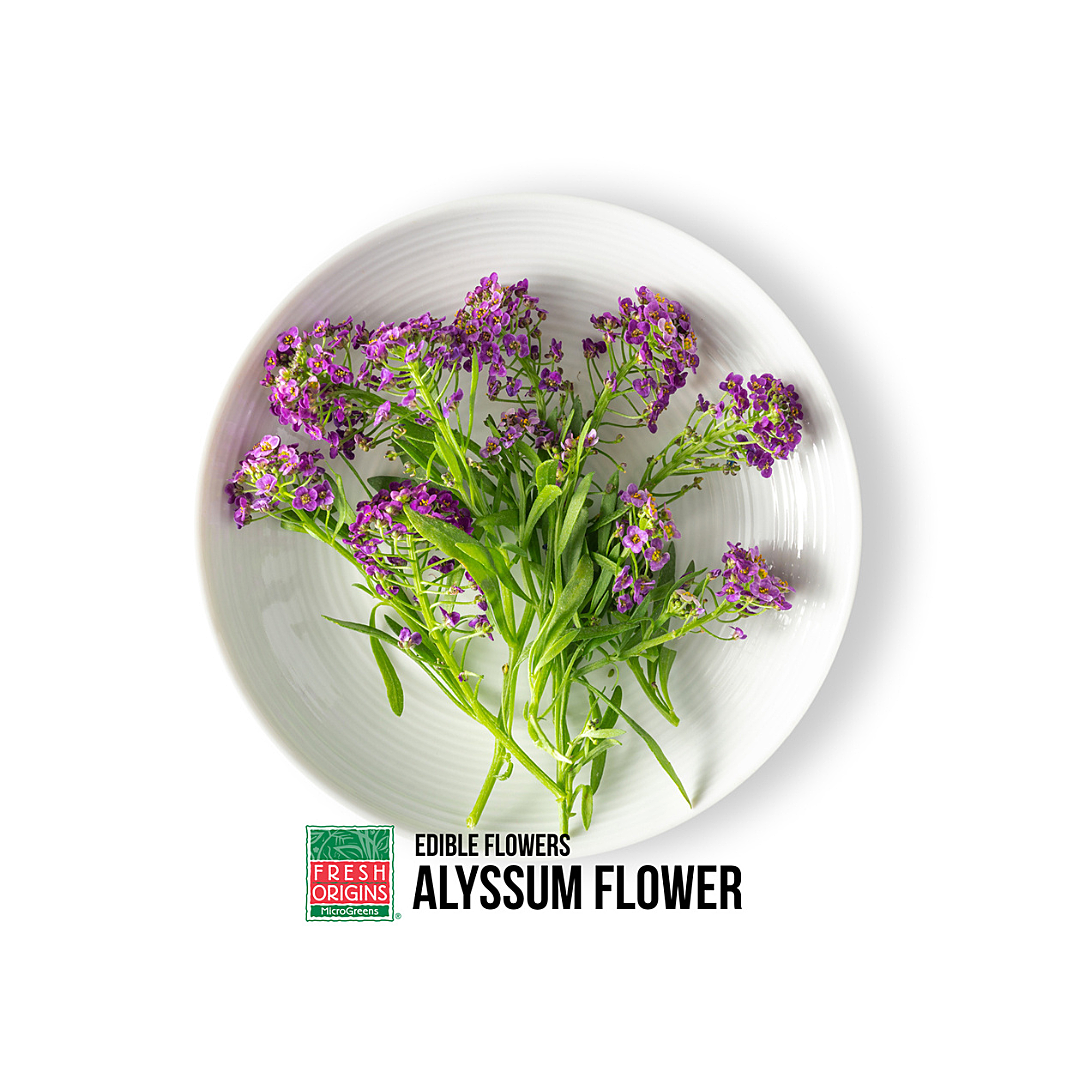 FLOALYS050 | Edible Alyssum Flower (50CT) - Pacific Coast Fresh Co.
