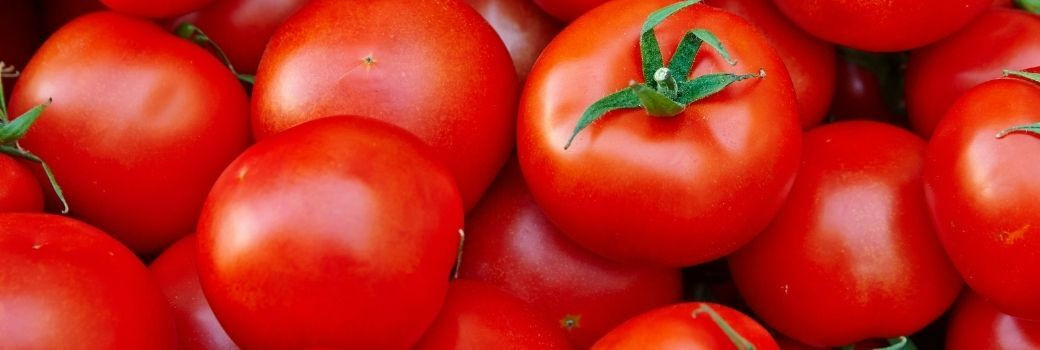 Vegetables - Tomato - Pacific Coast Fresh Co.