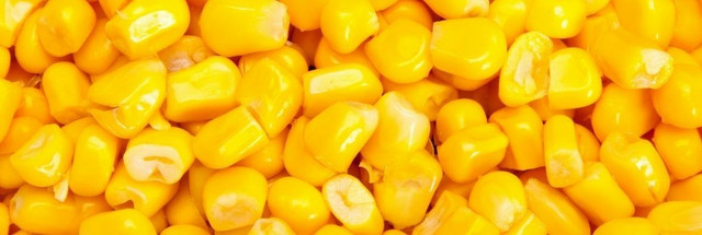 Vegetables - Corn - Pacific Coast Fresh Co.