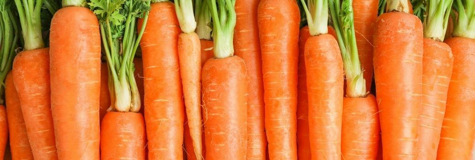 Vegetables - Carrot - Pacific Coast Fresh Co.