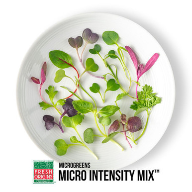 MICINT04Z | Micro Green Intensity Mix (4OZ) - Pacific Coast Fresh Co.