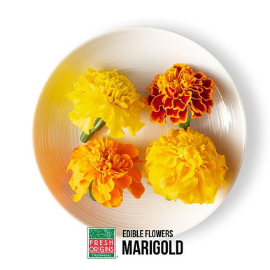 FLOMAR050 | Edible Marigold Flower (50CT) - Pacific Coast Fresh Co.