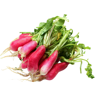 RADFRE024 | French Breakfast Radish Bunch (24CT) - Pacific Coast Fresh Co.