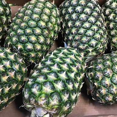 PINCRO008DOL | Crownless Pineapple (30#) - Pacific Coast Fresh Co.