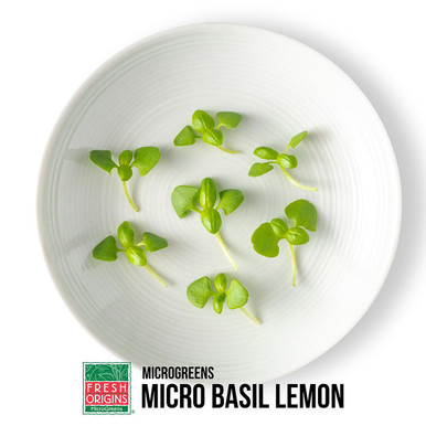 MICBAS04ZLEM | Micro Lemon Basil (4OZ) - Pacific Coast Fresh Co.