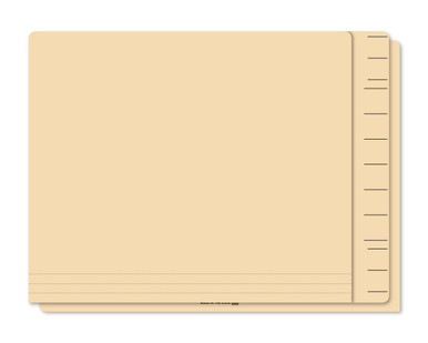 FILE RIGHT Color-Code File Folders Plain (500 per box)