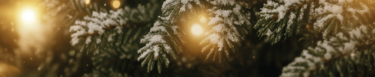 Adjusted opening hours and delivery during the holidays - Golden Naturals