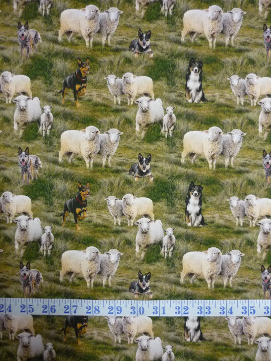 Merino Muster Dogs Herding Sheep Grass Background Cotton Quilting ...