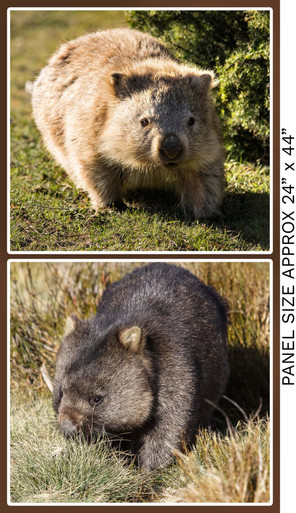 Australian Wildlife Reserve Wombat 4082B Cotton Quilting Fabric Panel