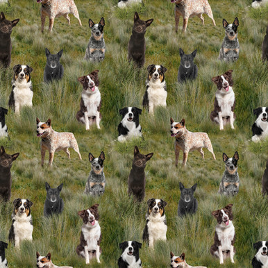 Merino Muster II Dogs Mixed Breeds Grass Background 3094W Cotton ...