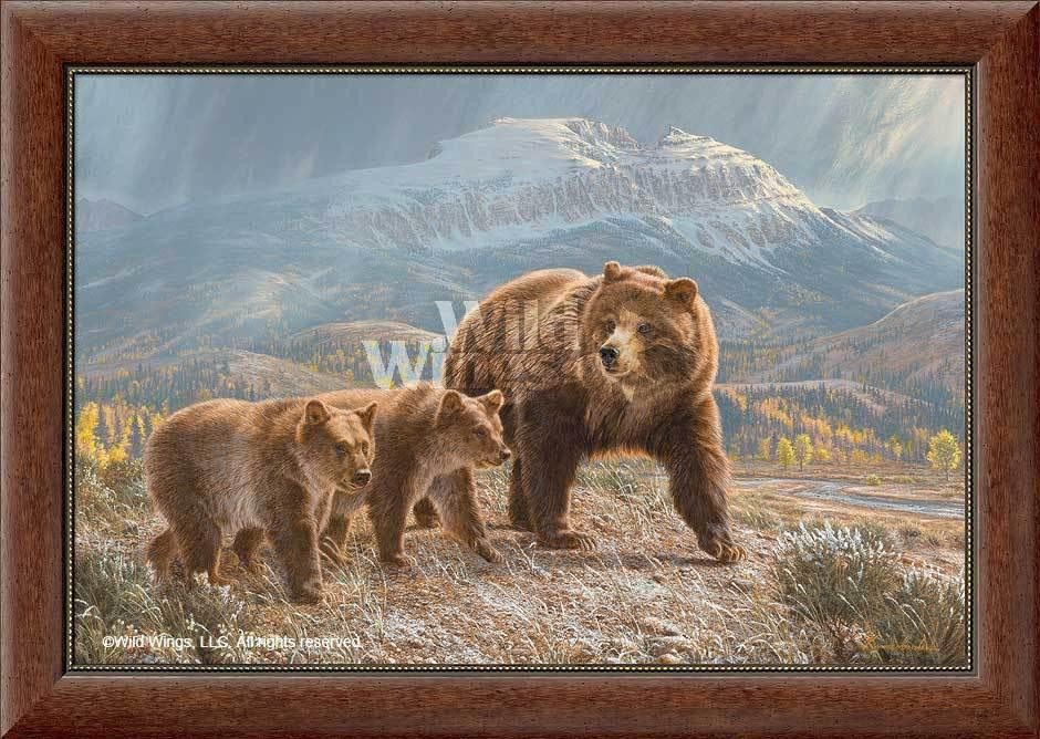 Under the Sleeping Giant Grizzly Singed & Numbered Limited Edition ...
