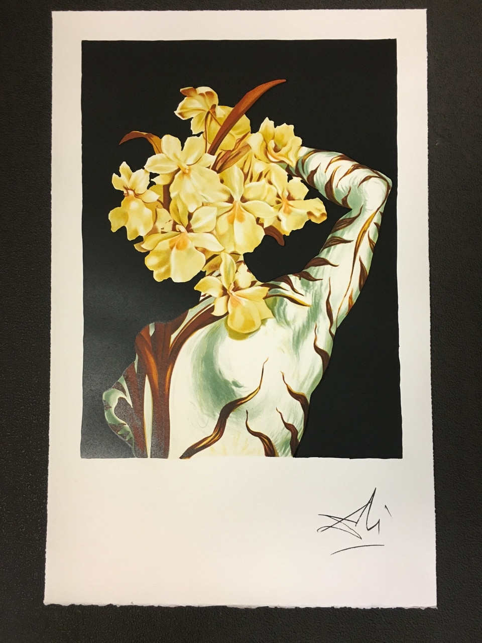 Surrealist Flower Lithograph - DaVinci Emporium