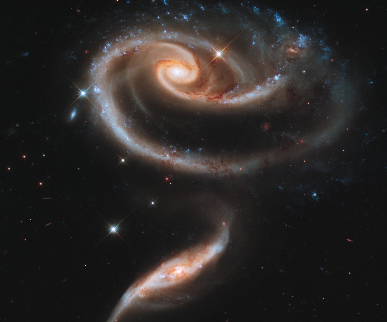 A Rose of Galaxies Hubble Telescope Image Transformed into a Museum ...