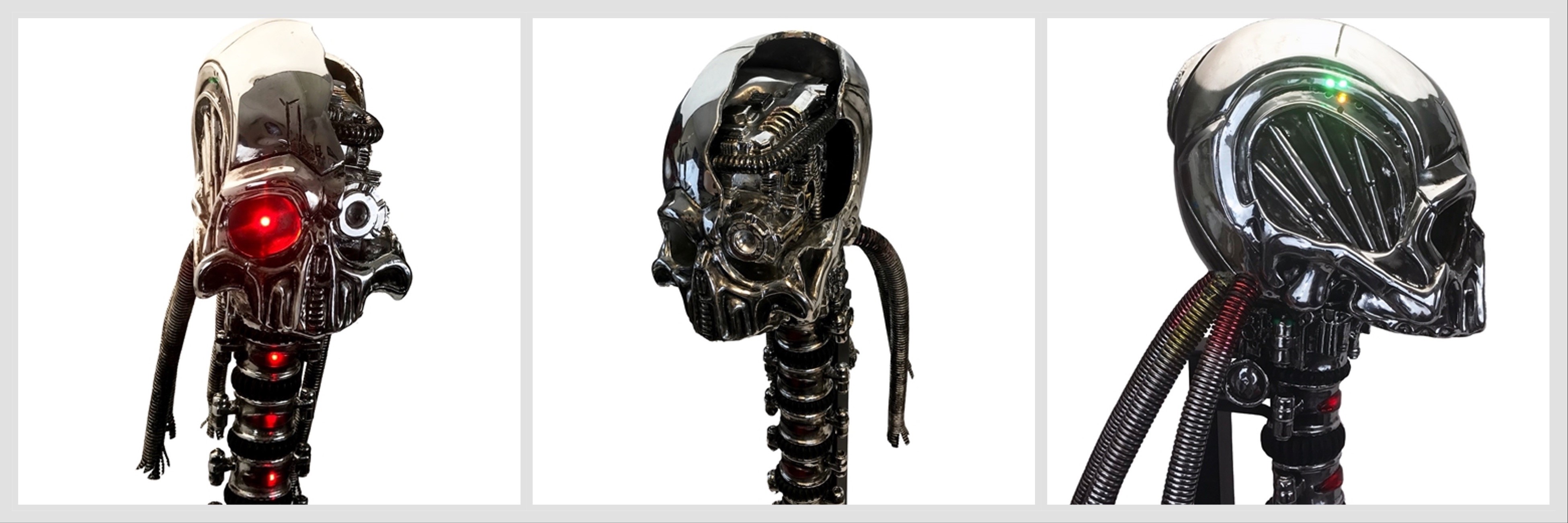 Star Trek First Contact Borg Queen Skull Signature Limited Edition Prop ...
