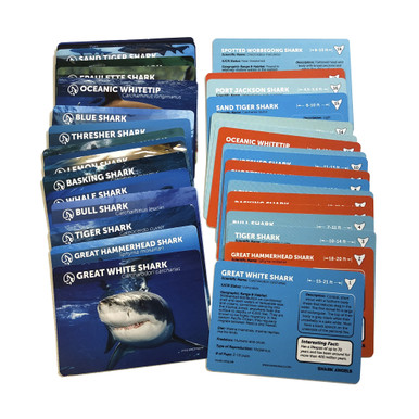 Shark Fact Cards Featuring Beautiful Shark Images
