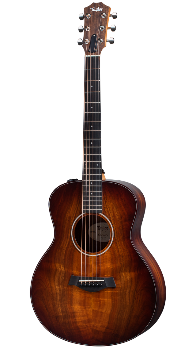 Taylor Guitars @ Keyboard Corner and Kc's Rockshop