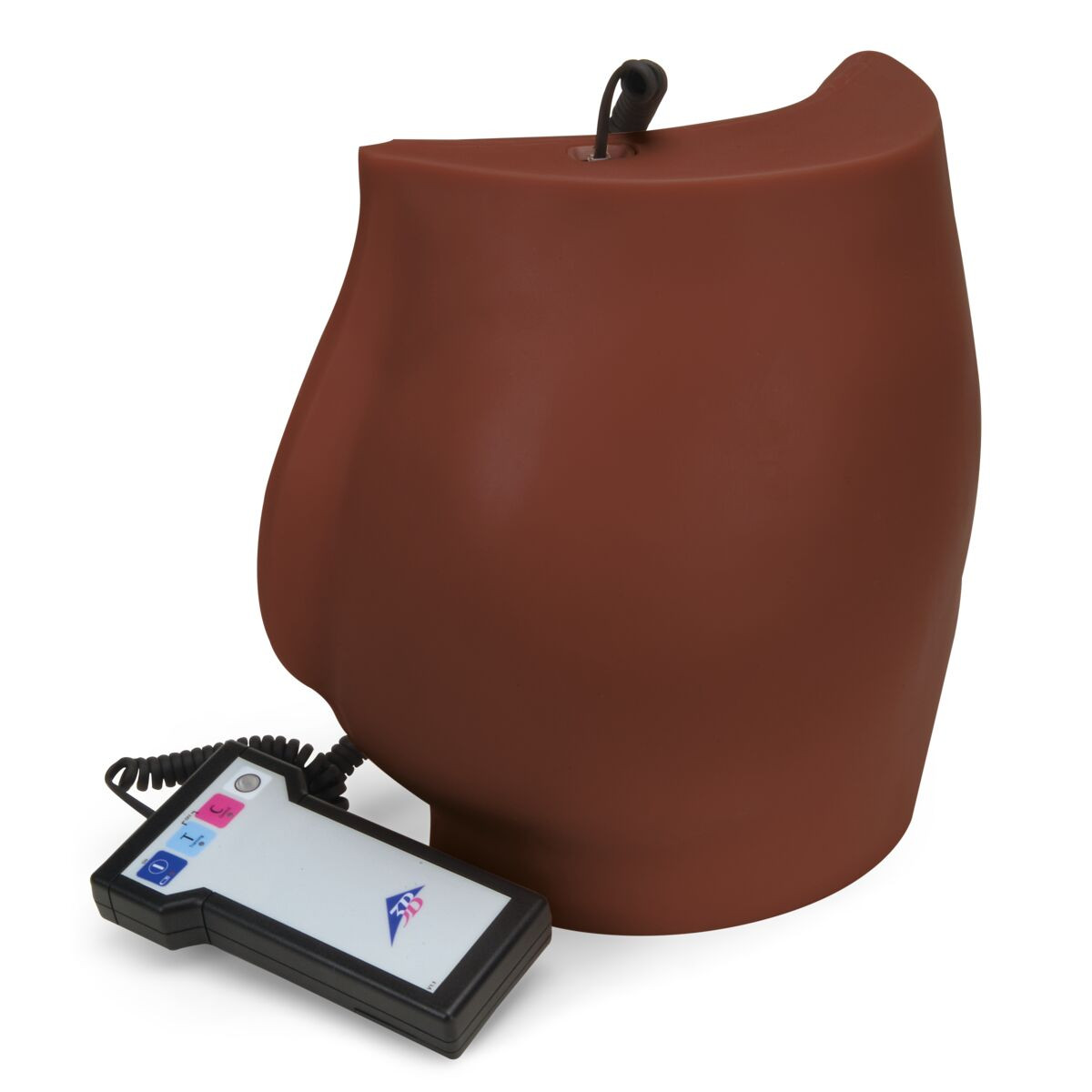 3B Scientific - Buttock Injection Simulator - EMRN - Equipment Medical ...