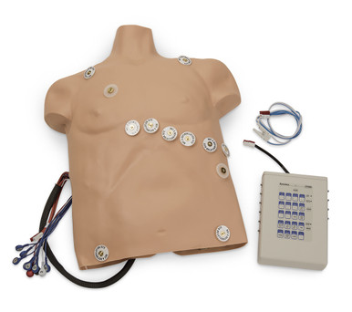 Simulaids 12-Lead Arrhythmia Simulator with Manikin Overlay - Zoll - Medium