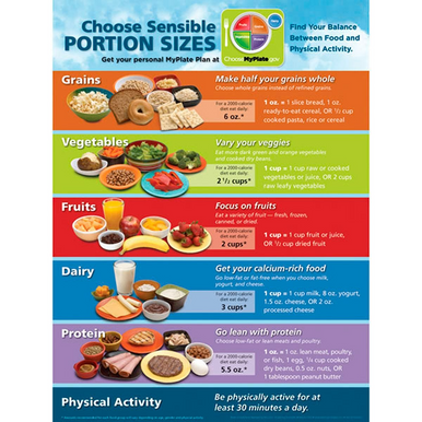 MyPlate Portion Size Poster