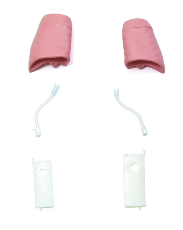 AMT Lungs, Plates and Tubes