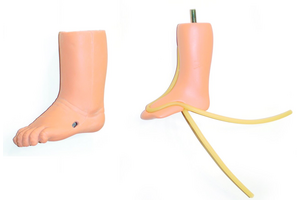 Infant IV Training Leg