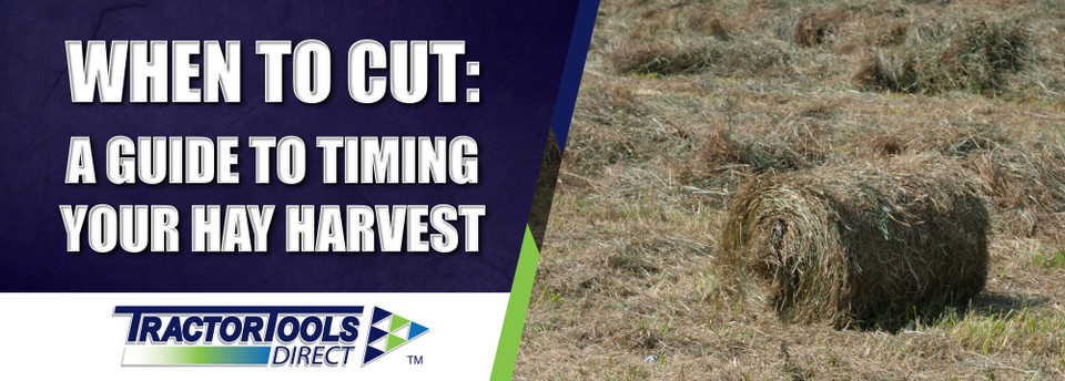 When to Cut: A Guide to Timing Your Hay Harvest - Tractor Tools Direct
