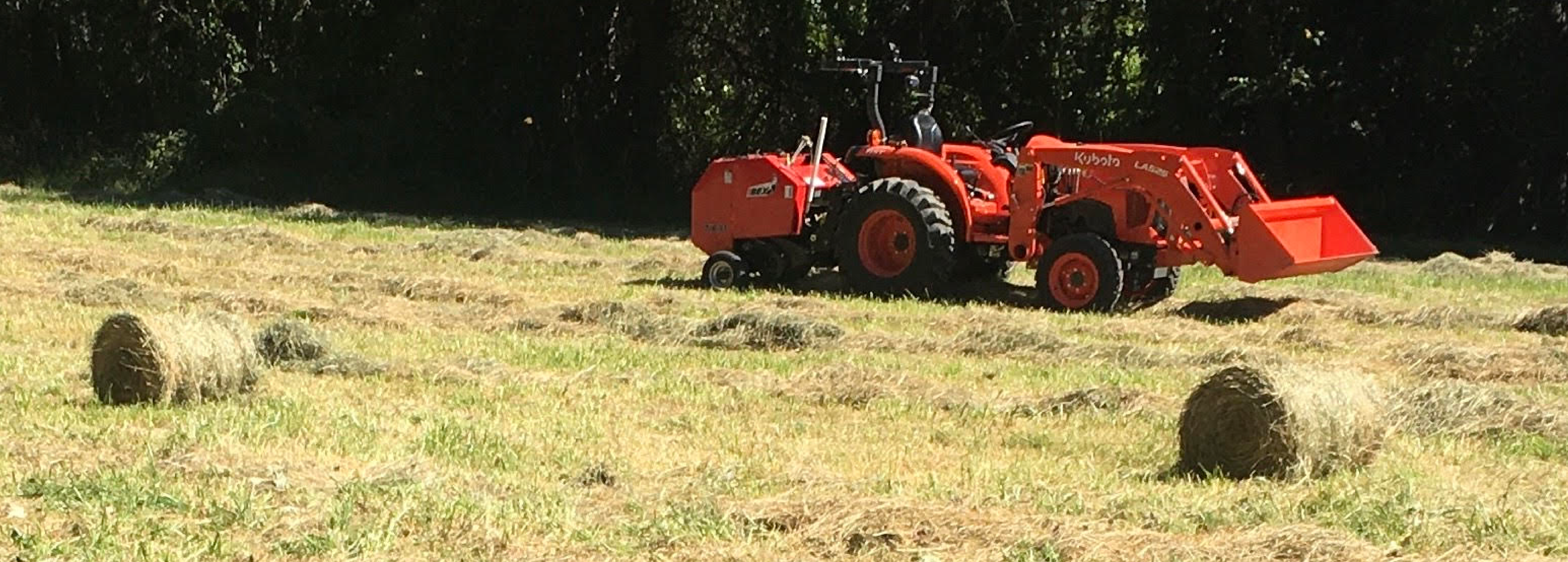 Customer Spotlight: Jim from MD and the Ibex Compact Homesteader Hay ...