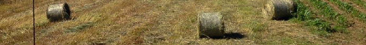 Hay Equipment | Tractor Tools Direct | Small-Farm Haying Independence