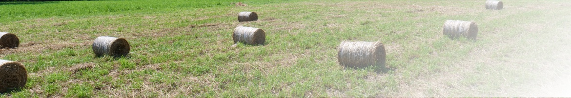 Hay Equipment | Tractor Tools Direct | Small-Farm Haying Independence
