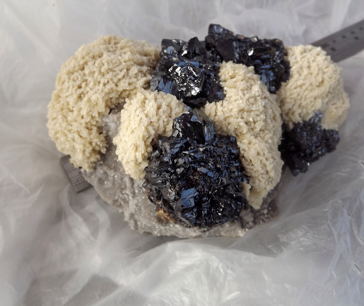 Barite on Sphalerite Elmwood Mine Tn. Spectacular Specimen
