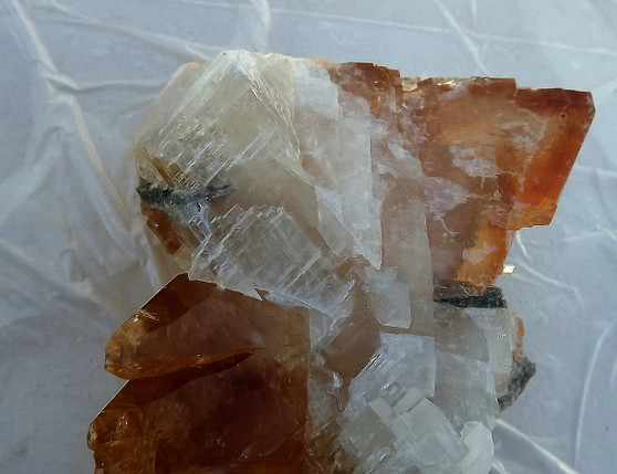 Stellar Beam Golden Calcite Elestial Dogtooth Crystal Gemmy Cluster ...