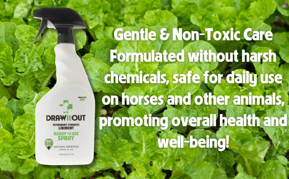 Draw It Out Ready To Use Spray Concentrate Liniment 24 oz ...