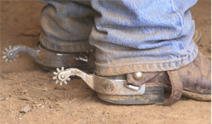 Spurs 101 - saddleupcolorado